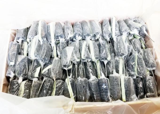 Manual Operation Brush Research Flex Hone , Size 4 Inch Cylinder Ball Hone